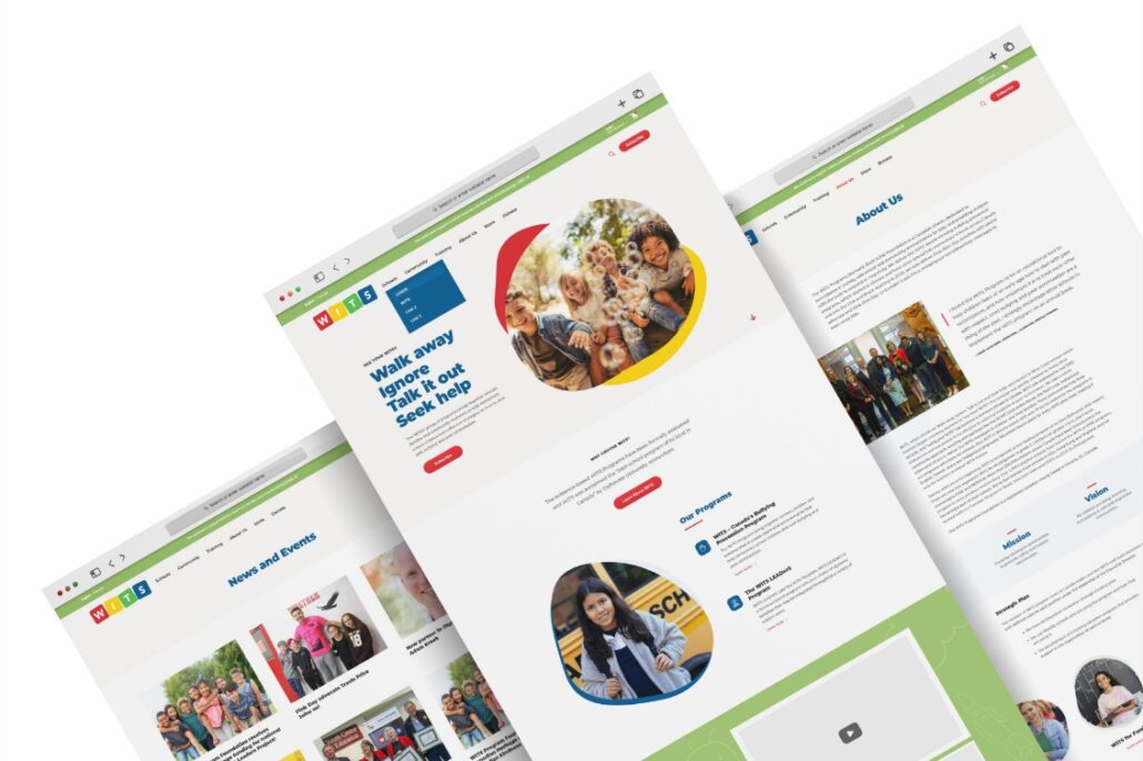 WITS - Caorda Web Solutions